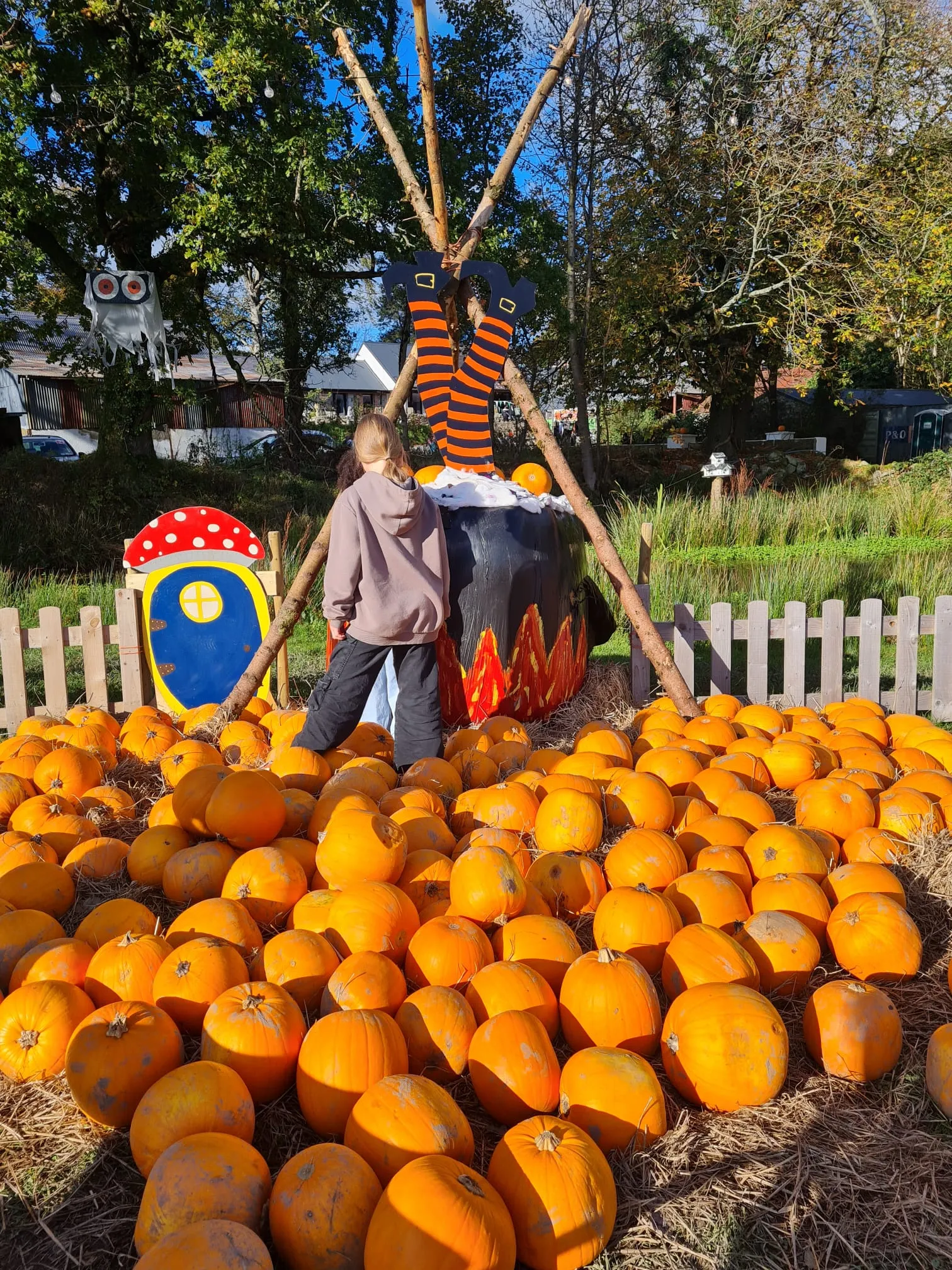 Pumpkin Patch | K2Alpacas | Family Halloween Event